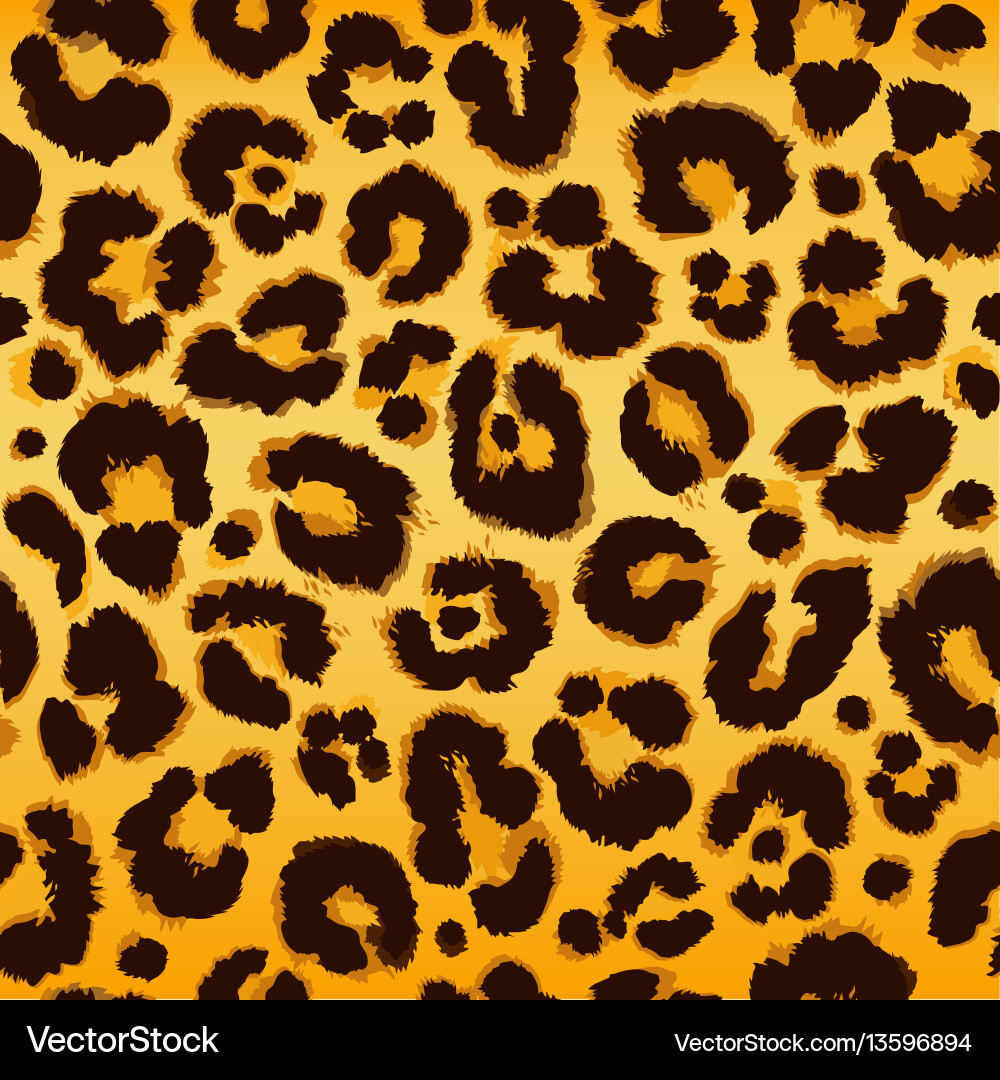 Leopard realistic Royalty Free Vector Image - VectorStock