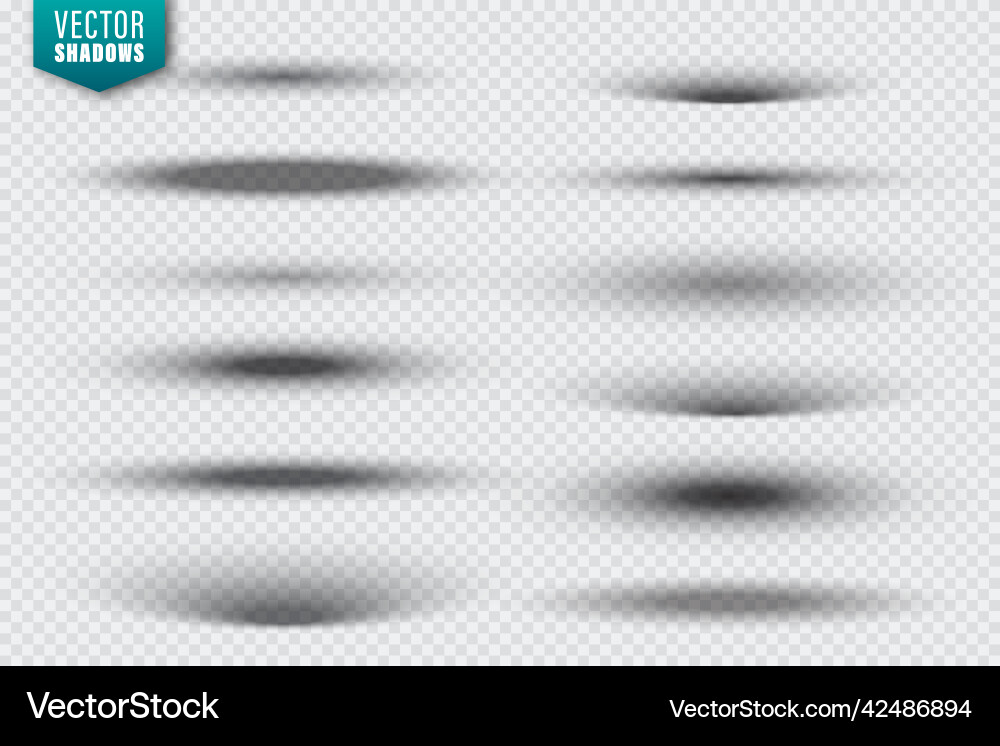 Shadows collection on transparent Royalty Free Vector Image