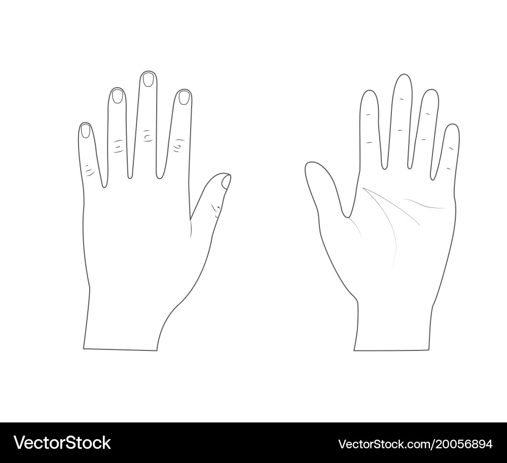 Woman hands outline Royalty Free Vector Image - VectorStock