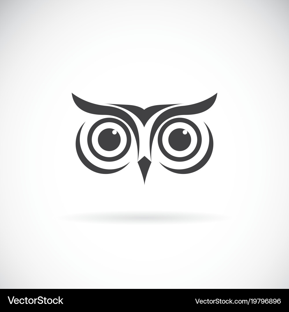 An owl face design on white background bird logo Vector Image