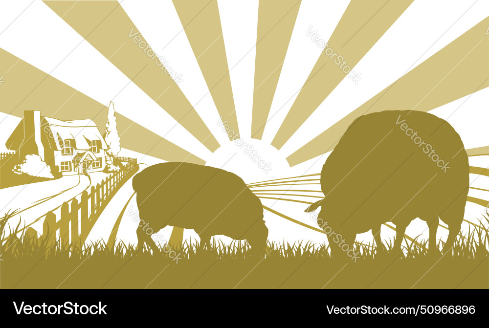 Sheep in farm field scene Royalty Free Vector Image