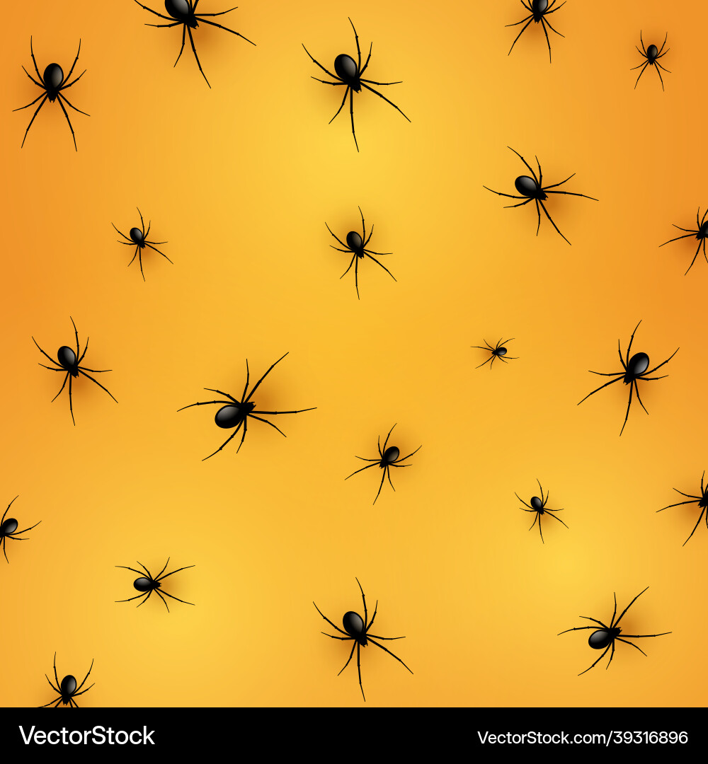 Spooky Halloween Spider Web Background Royalty Free Vector