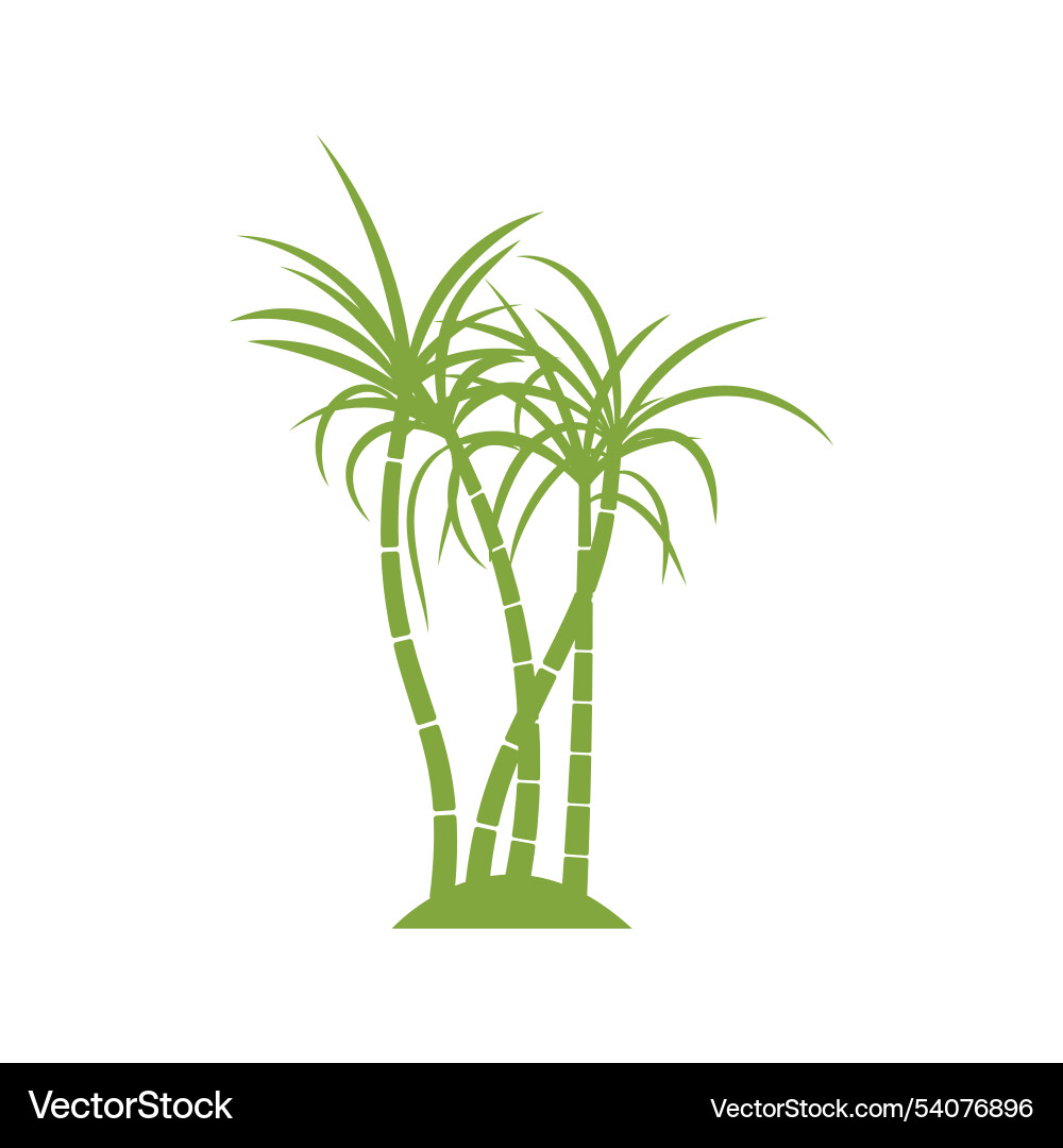 Sugar cane plant logo design Royalty Free Vector Image