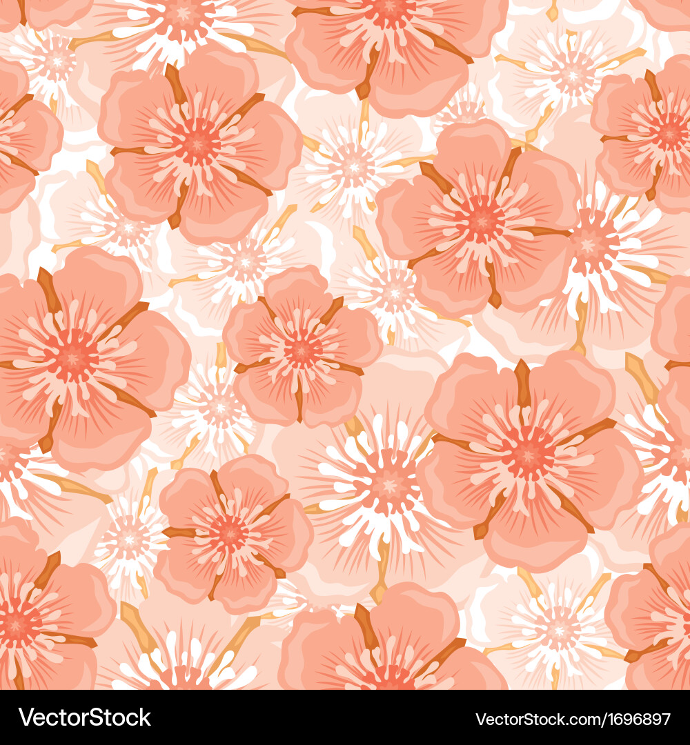 Ranunculus pattern Royalty Free Vector Image - VectorStock