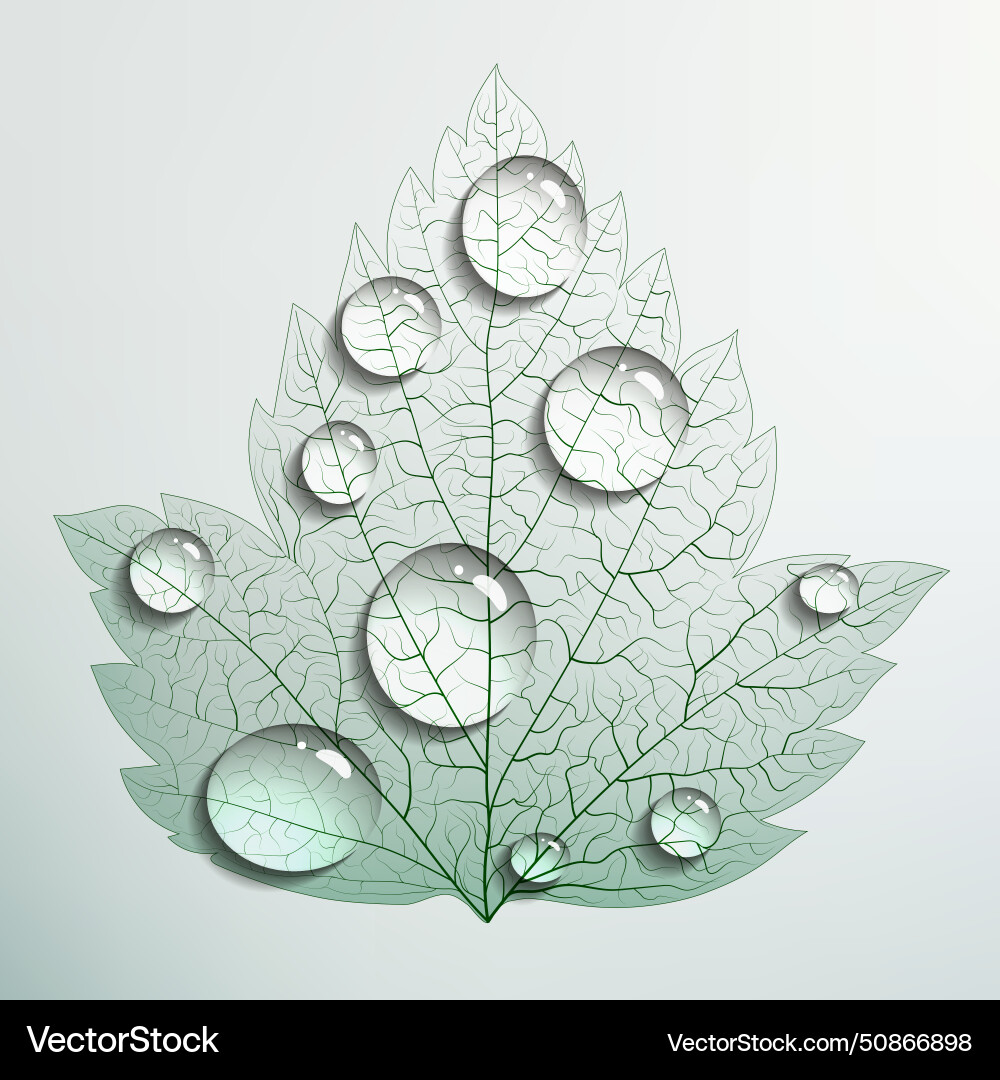 Drops of dew on a transparent sheet Royalty Free Vector