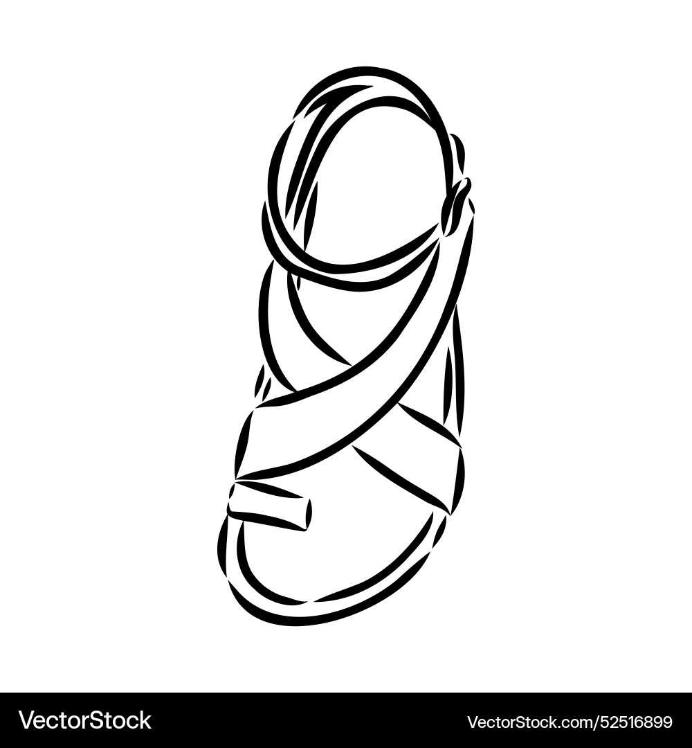Strap sandal outline drawing Royalty Free Vector Image