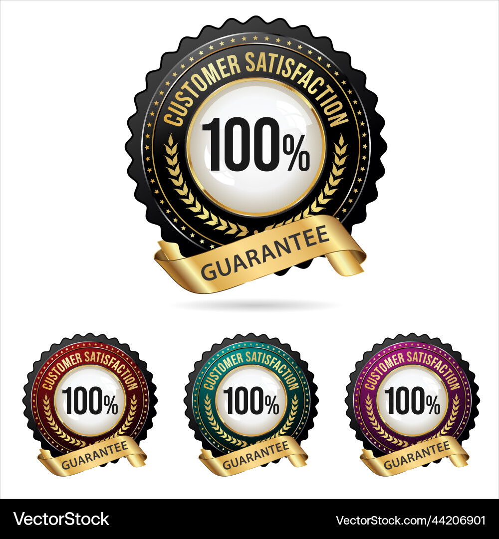 Collection of customer satisfaction guarantee Vector Image