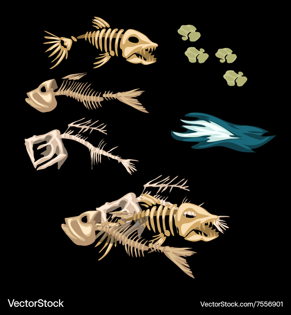 Skeletons fish track and other items Royalty Free Vector