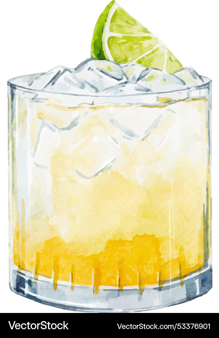 Watercolor gin hass alcohol Royalty Free Vector Image