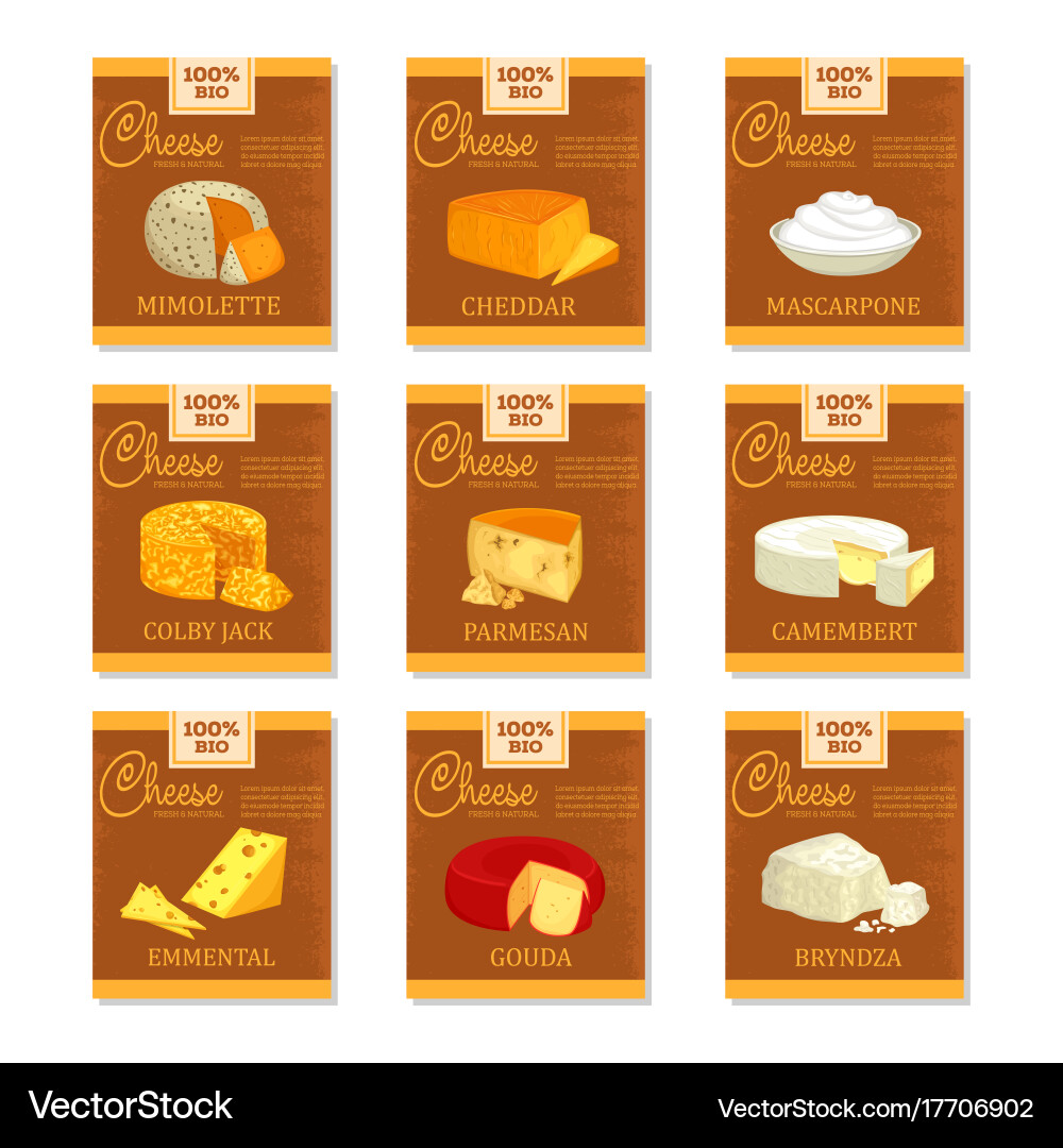 Cheese Banners & Dairy Foods Royalty Free Vector Image