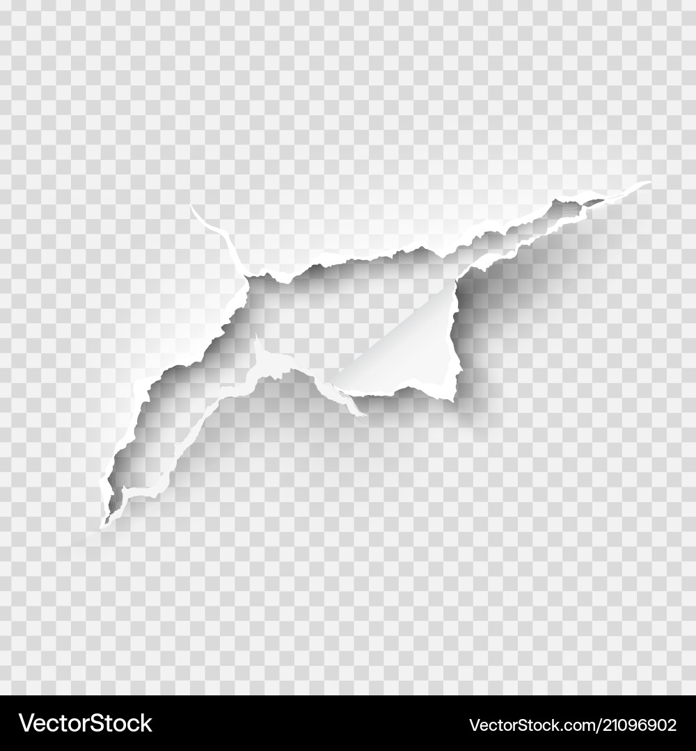 Hole torn in ripped paper on transparent Vector Image
