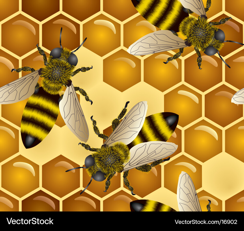 Honey bees pattern Royalty Free Vector Image - VectorStock