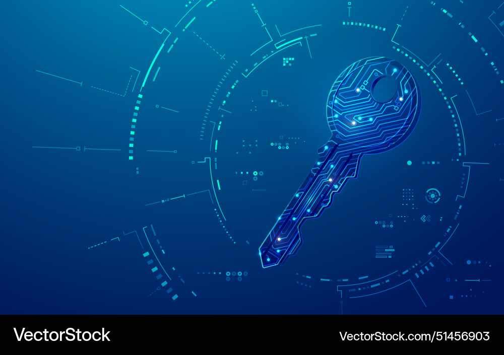Digitalkey Royalty Free Vector Image - VectorStock