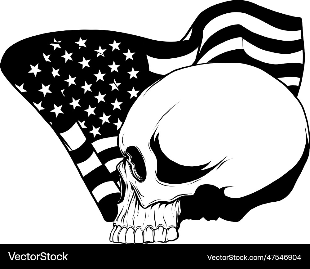 Outline human skull design Royalty Free Vector Image