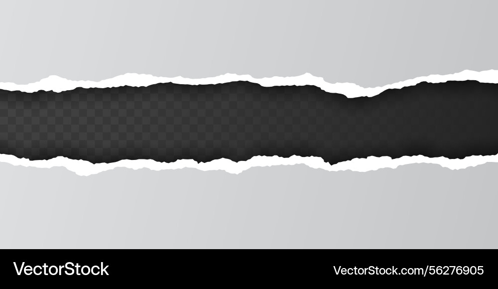 Horizontal torn paper edge ripped squared Vector Image