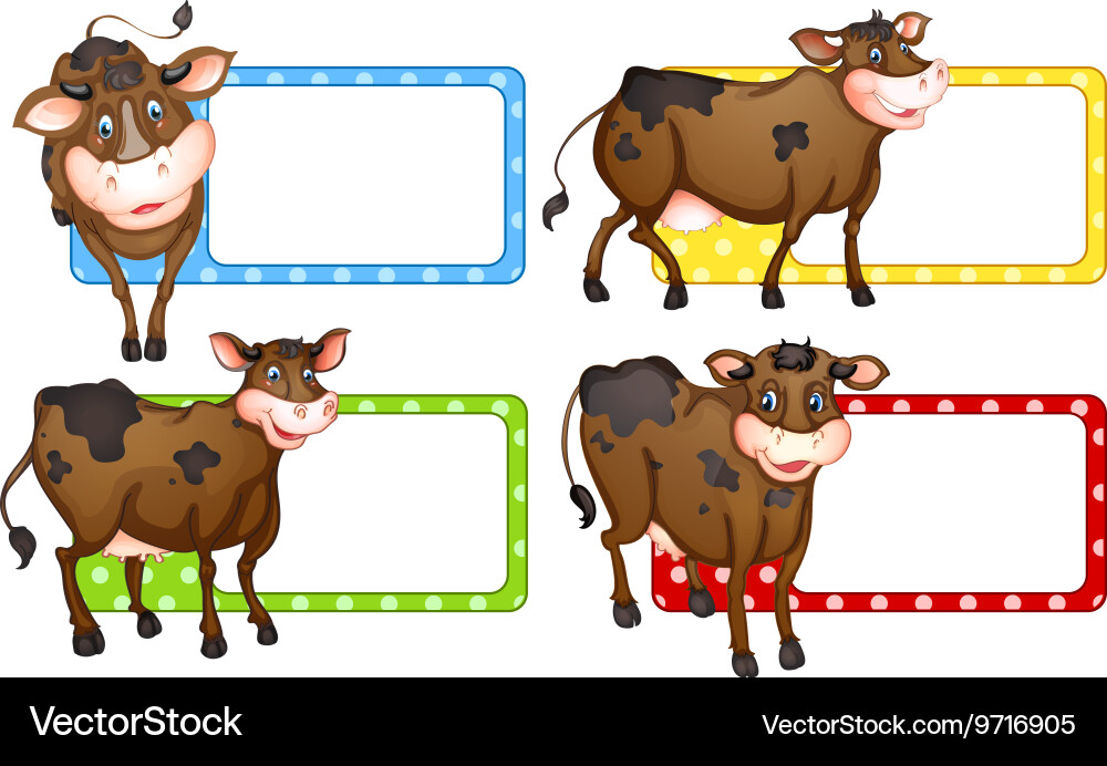 Square labels with brown cows Royalty Free Vector Image