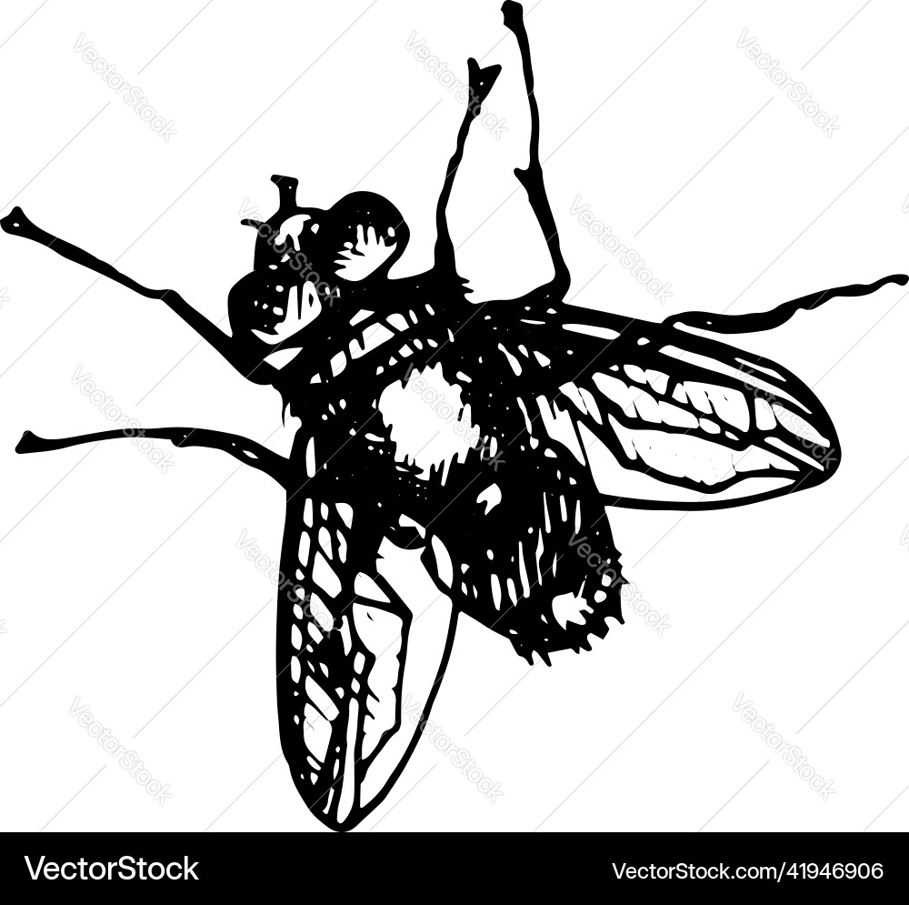 Square Drone Vector Images (over 1,200)