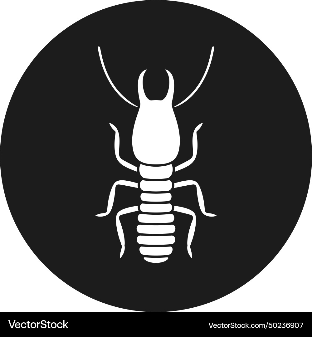 Termite Royalty Free Vector Image - VectorStock