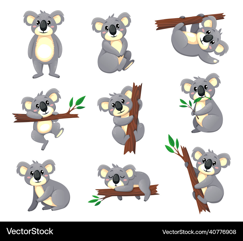 Cartoon koala bear characters eating and playing Vector Image