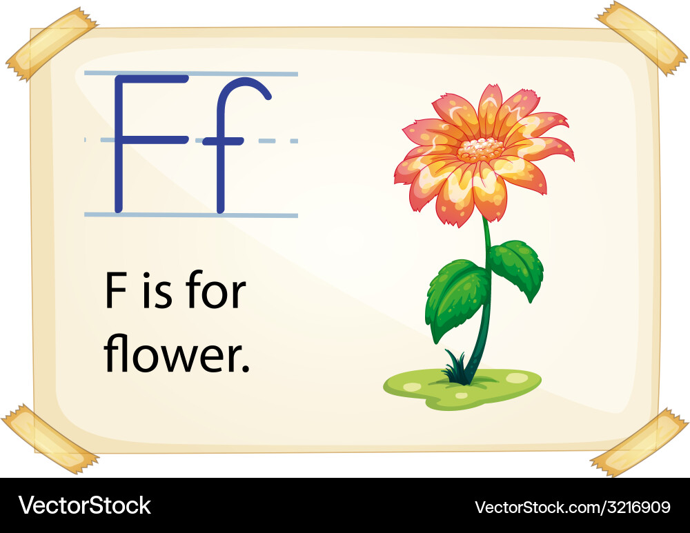Alphabet f Royalty Free Vector Image - VectorStock