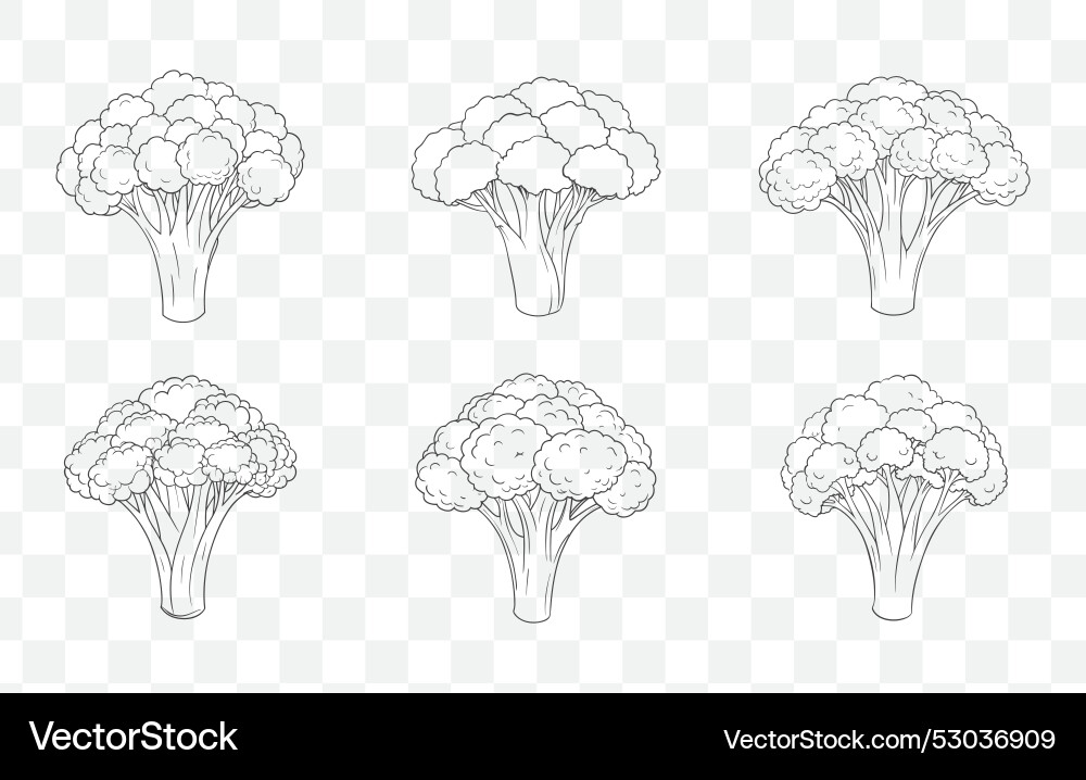 Print broccoli line art set Royalty Free Vector Image