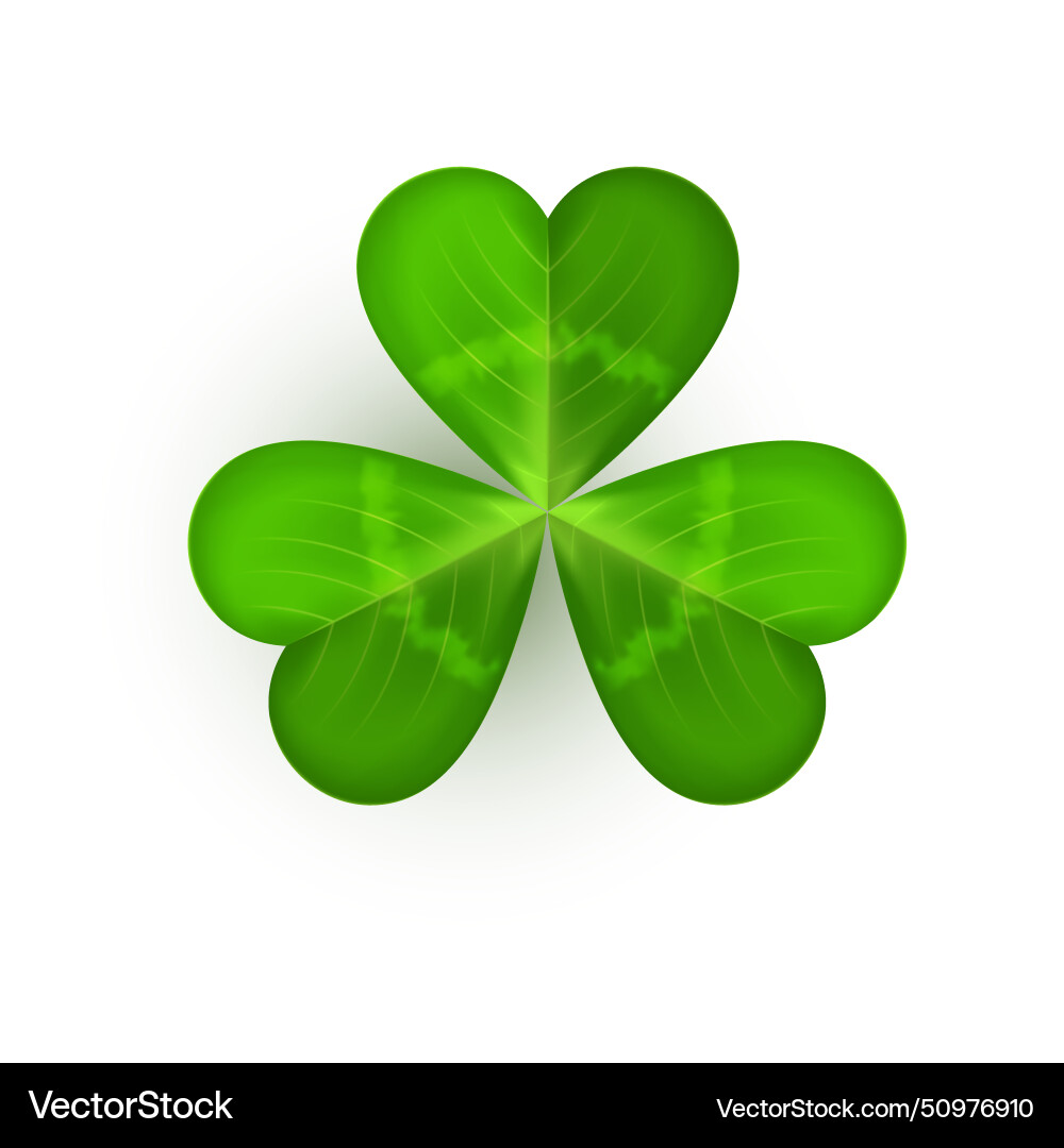 Realistic shamrock icon clover three leaves logo Vector Image