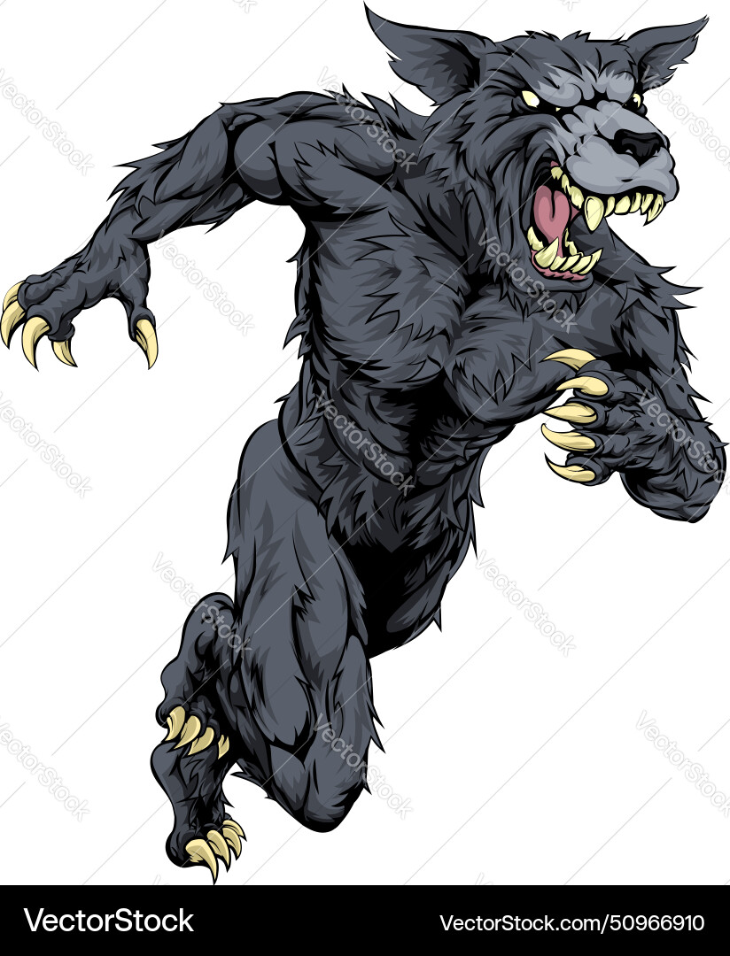 Wolf sports mascot or werewolf running Royalty Free Vector