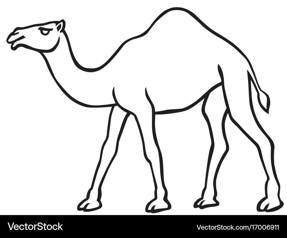 Camel Profile Icon Royalty Free Vector Image - VectorStock