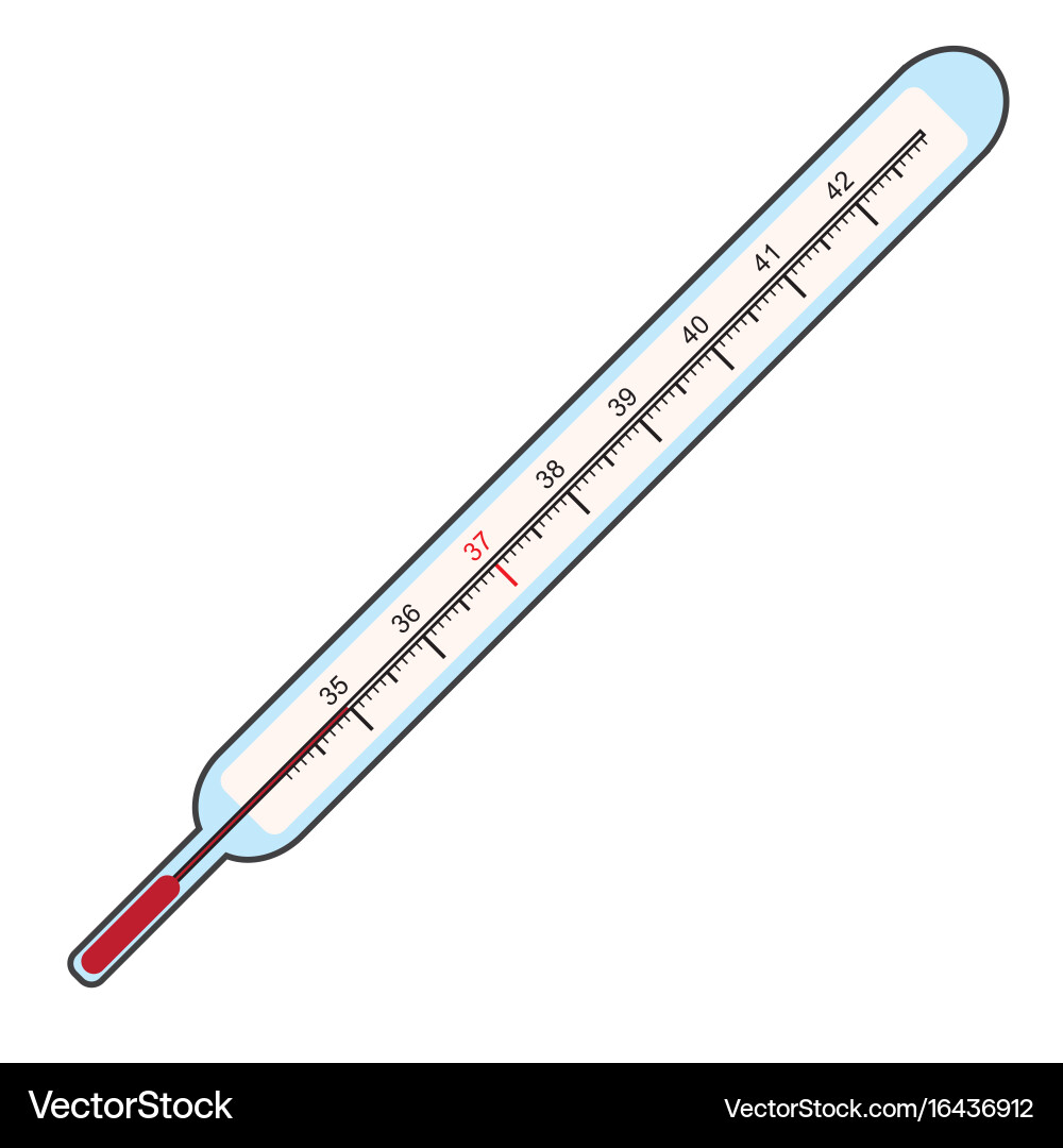 Clinical thermometer Royalty Free Vector Image
