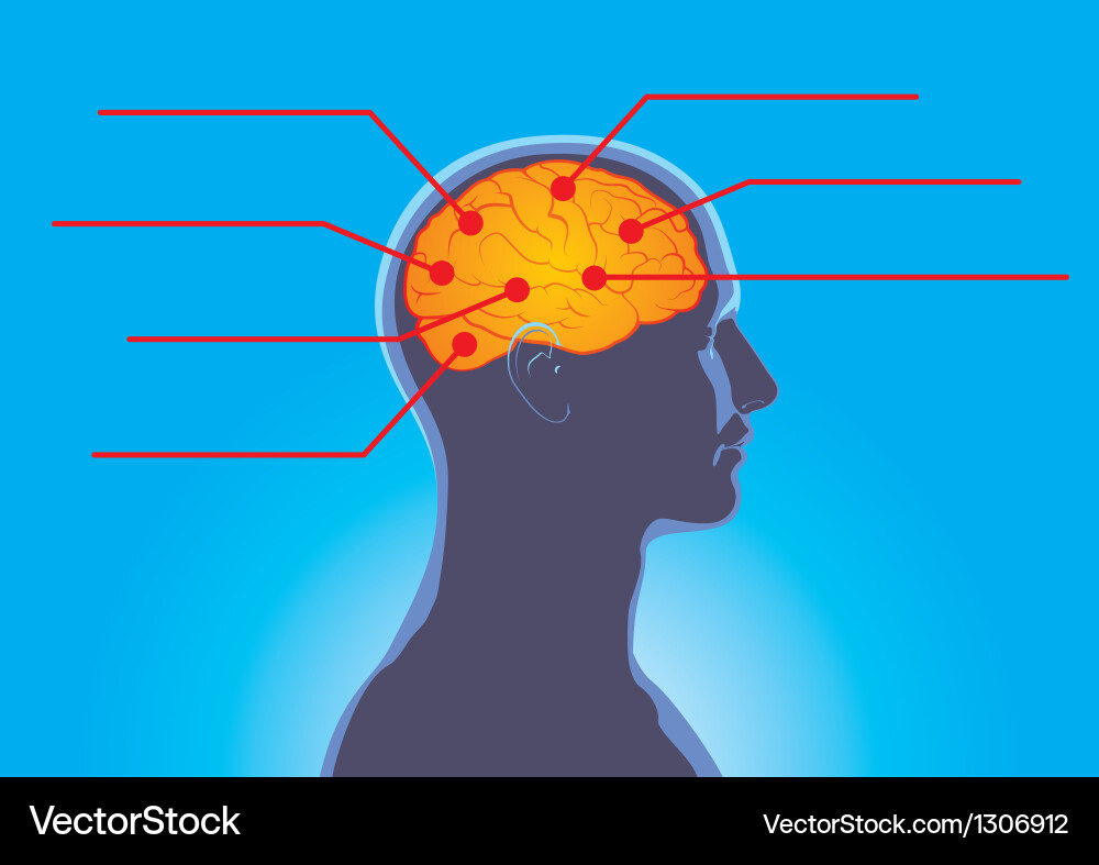 Human Brain - Idea Generation Royalty Free Vector Image