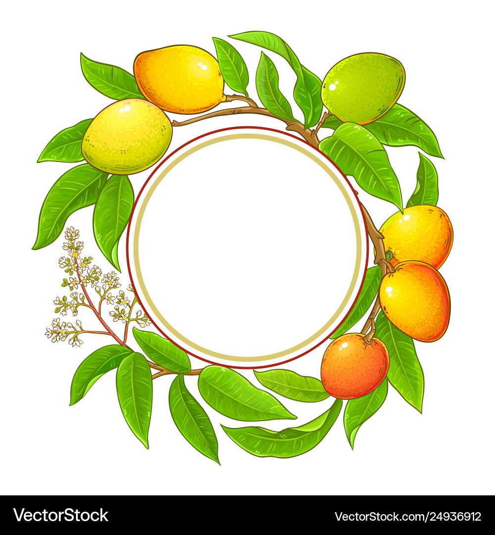 Mango branches frame on white background Vector Image
