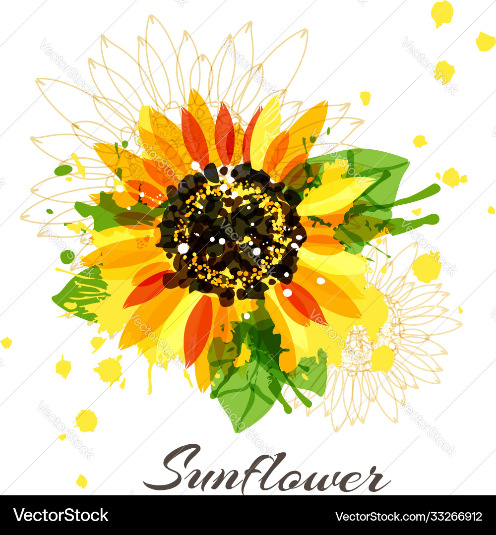 Sunflower in abstract hand drawn style isolated Vector Image