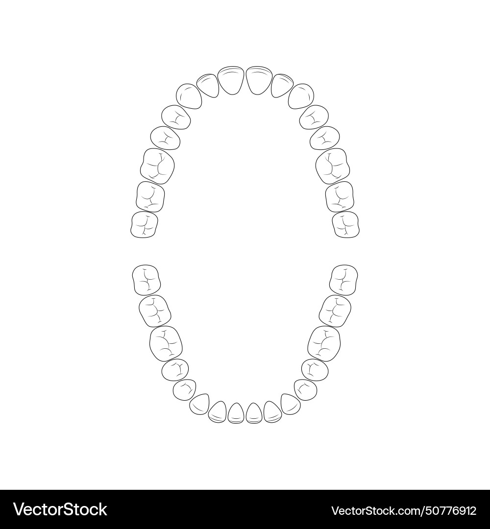 Teeth doodle Royalty Free Vector Image - VectorStock