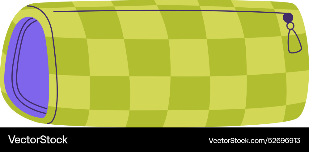 School pencil case with checkered pattern Vector Image