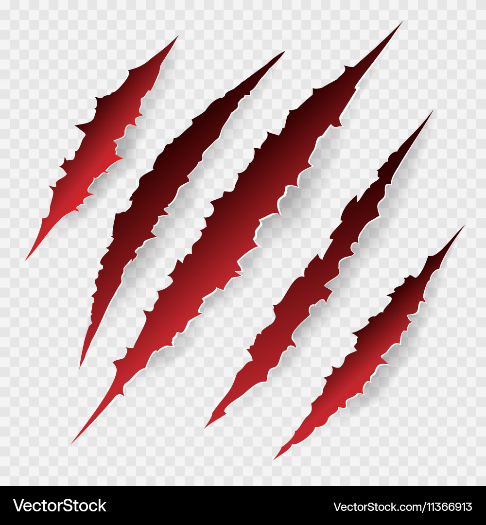 Scratches isolated on transparent background Vector Image