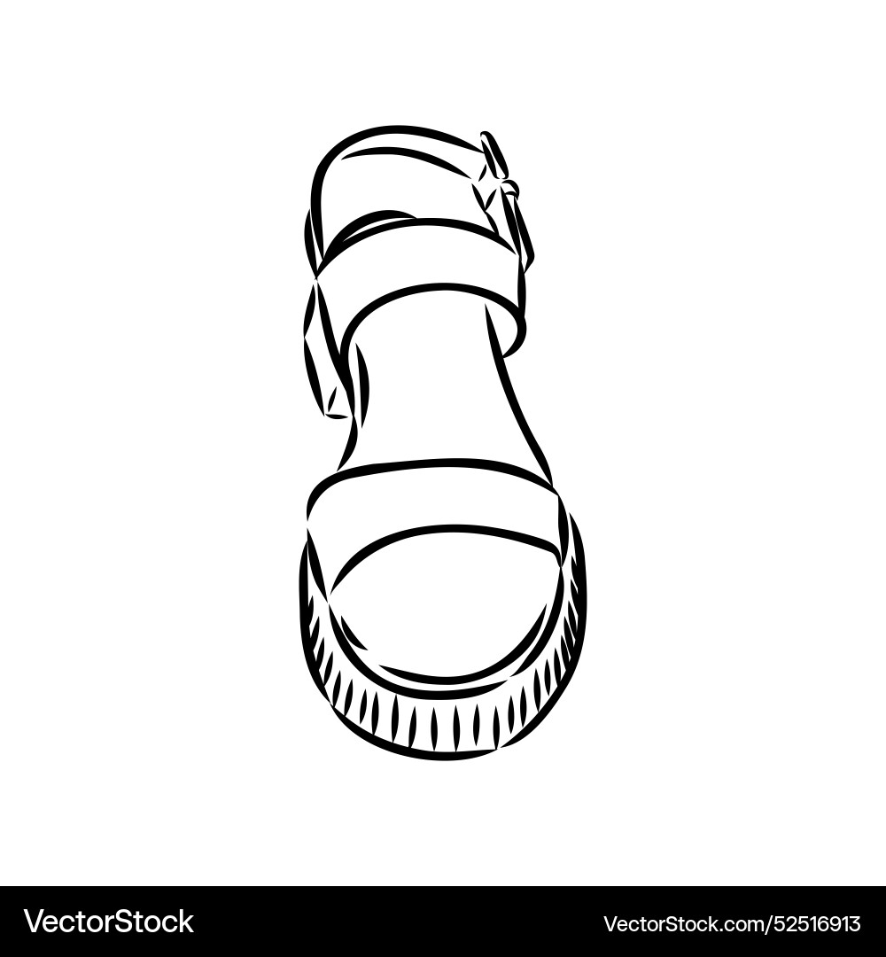 Strap sandal outline drawing Royalty Free Vector Image