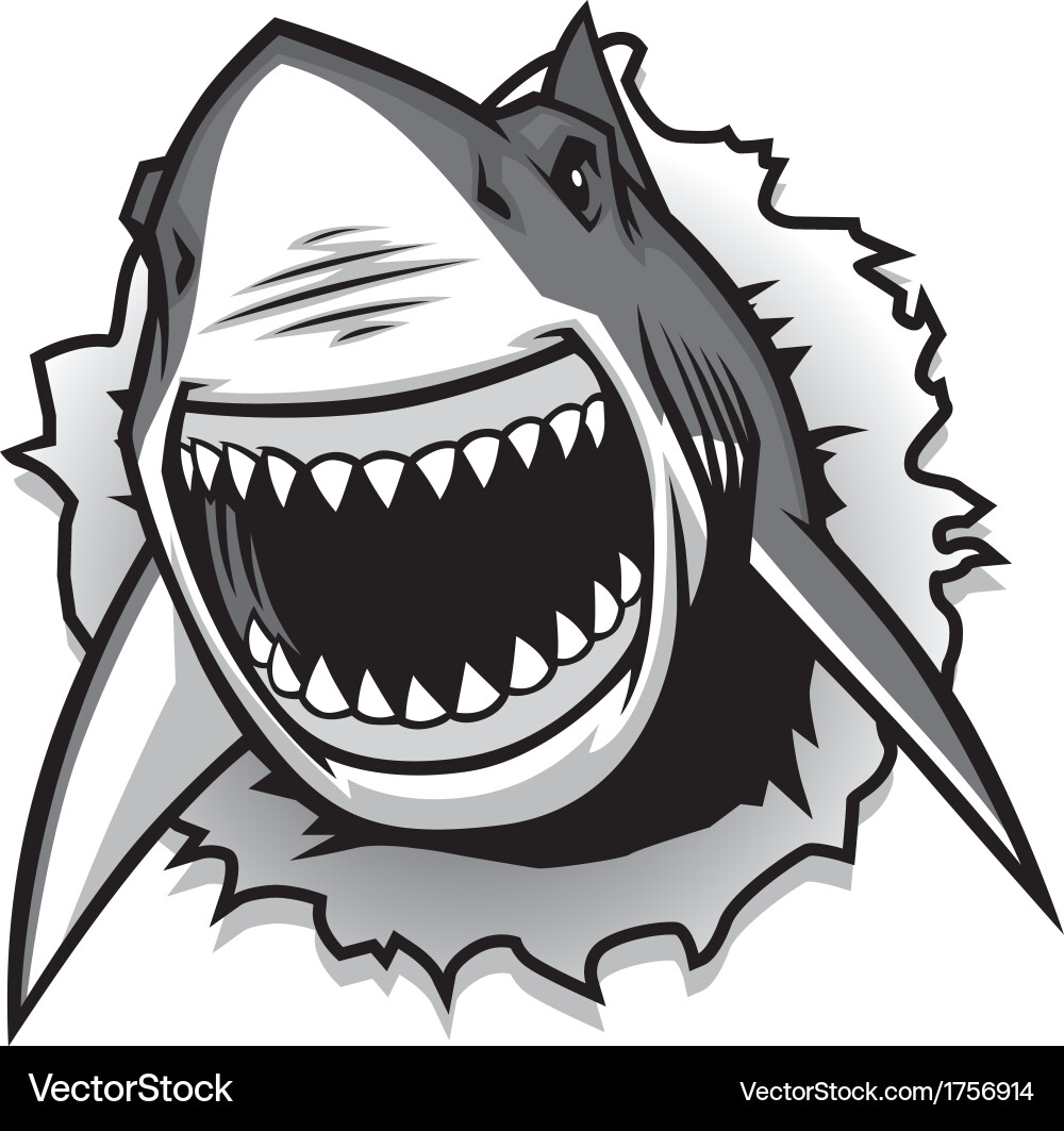 Great White Sharks Vector Images (over 4,600)