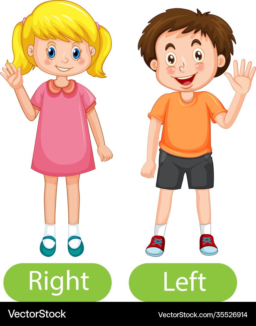 Opposite words with right hand and left Royalty Free Vector