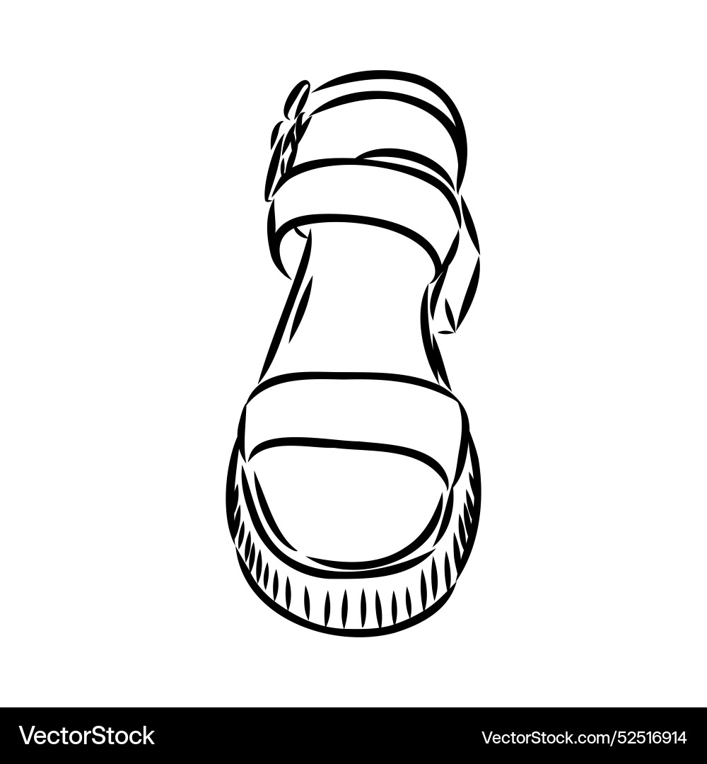 Strap sandal outline drawing Royalty Free Vector Image