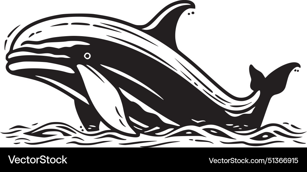Whale - black and white Royalty Free Vector Image