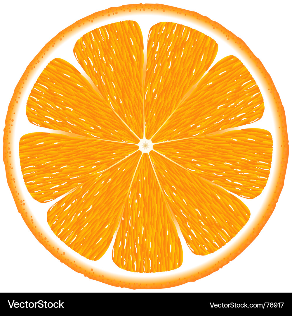 Orange Royalty Free Vector Image - VectorStock