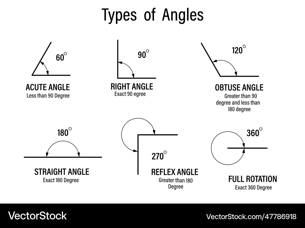 Arten von Winkeln Lizenzfreies Vektorbild - VectorStock