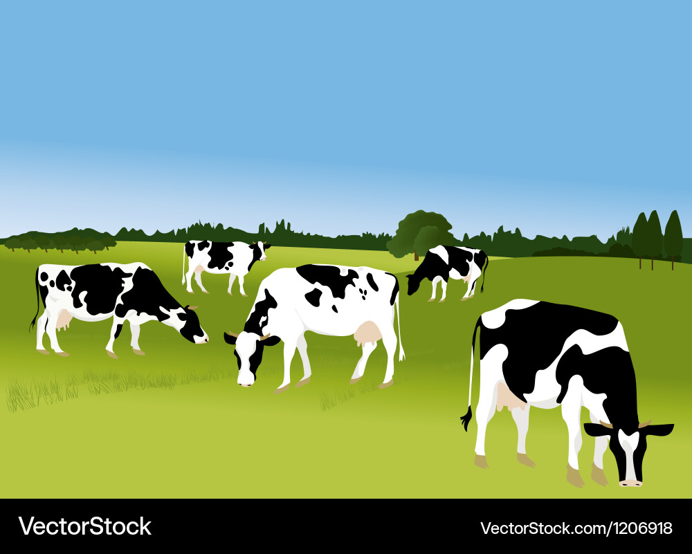 Cattle Herd Clipart