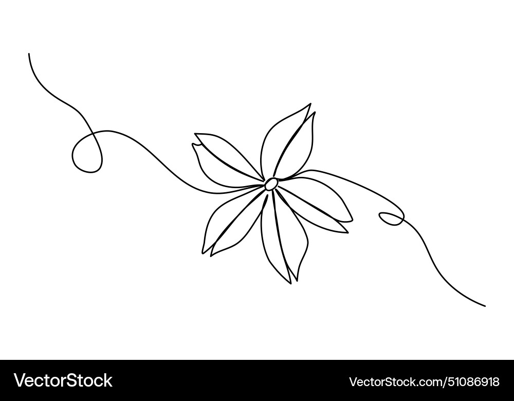 Flower one line drawing Royalty Free Vector Image