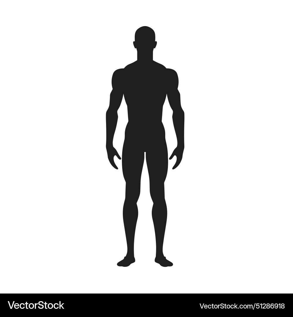 Muscular man silhouette full body Royalty Free Vector Image