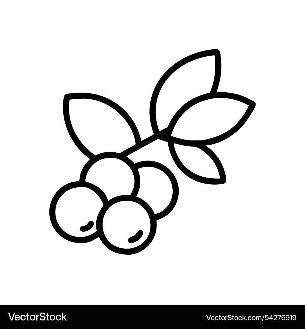 Acai berry icon fruits Royalty Free Vector Image