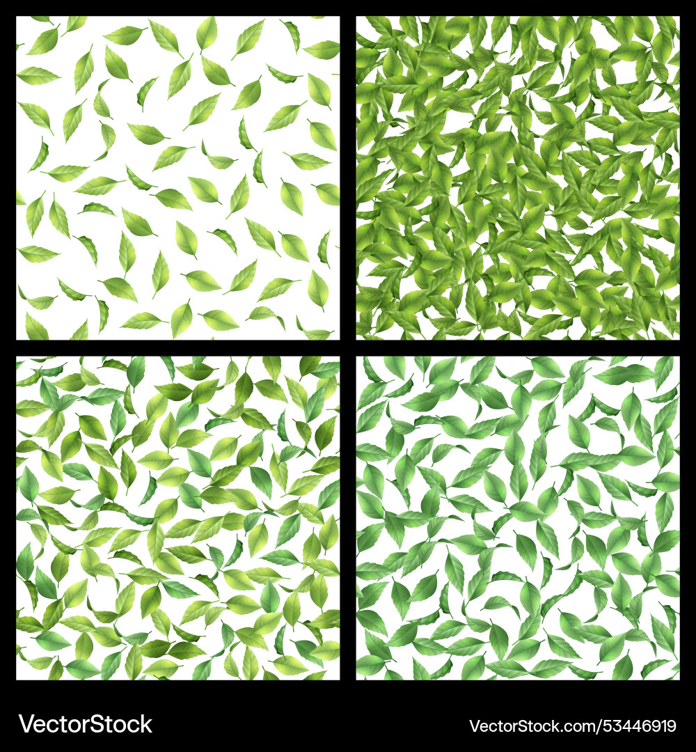 Leaves seamless patterns Royalty Free Vector Image