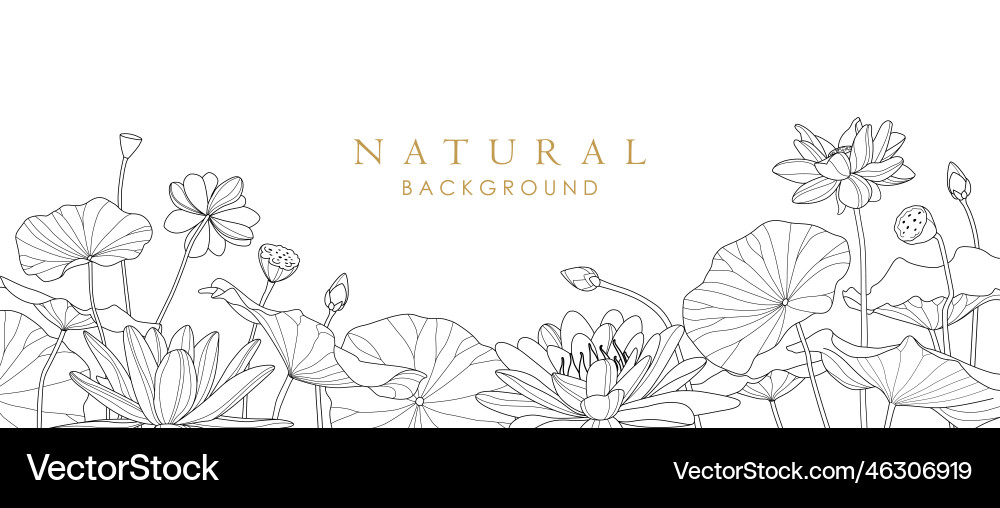 Lotus line art backgroundluxury print Royalty Free Vector
