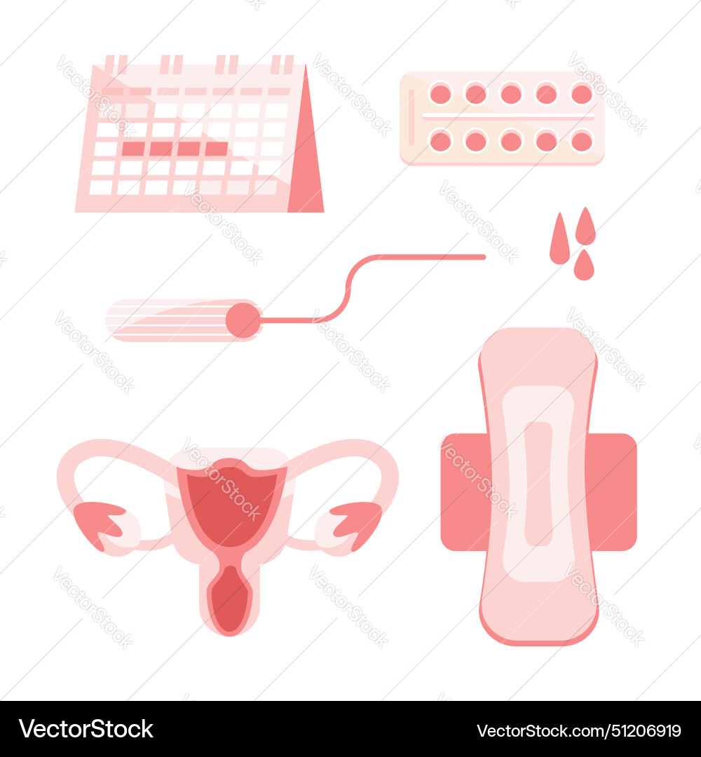 Menstruation theme products periods feminine Vector Image