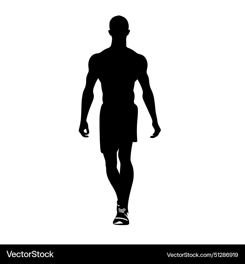 Muscular man walking silhouette Royalty Free Vector Image